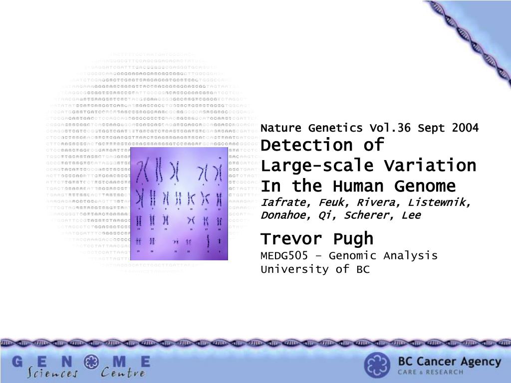 PPT - Title Page PowerPoint Presentation, free download - ID:3329018