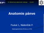 PPT - anatomie PowerPoint Presentation, free download - ID:581521