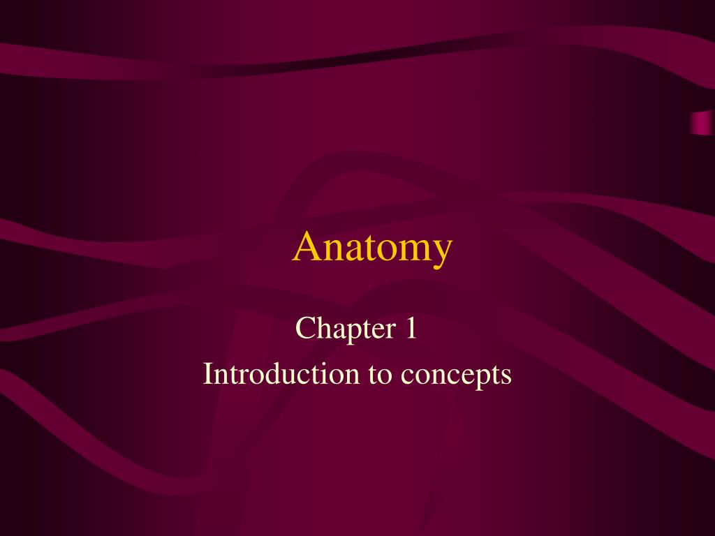 PPT - Anatomy PowerPoint Presentation, free download - ID:3332282