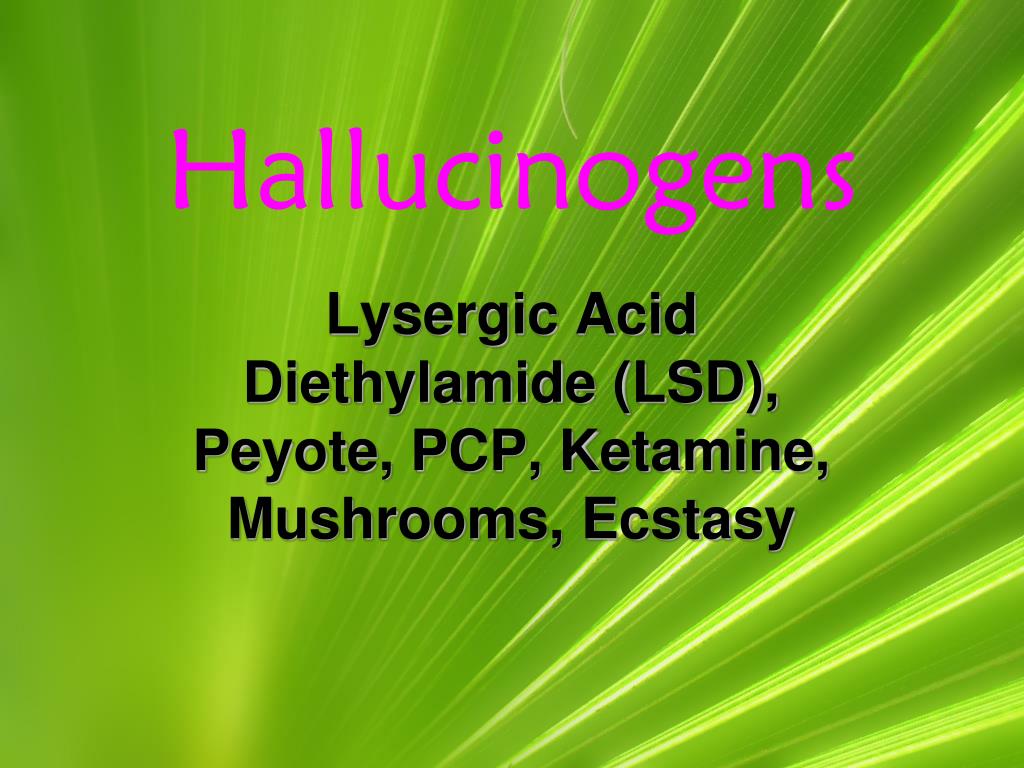 PPT - Hallucinogens PowerPoint Presentation, free download - ID:3332384