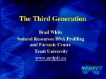 PPT - Development of Third Generation Solar Cells PowerPoint ...