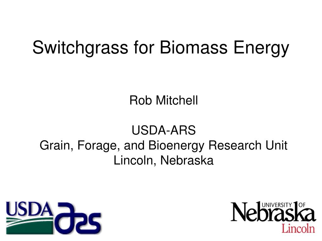 PPT - Switchgrass for Biomass Energy PowerPoint Presentation, free ...