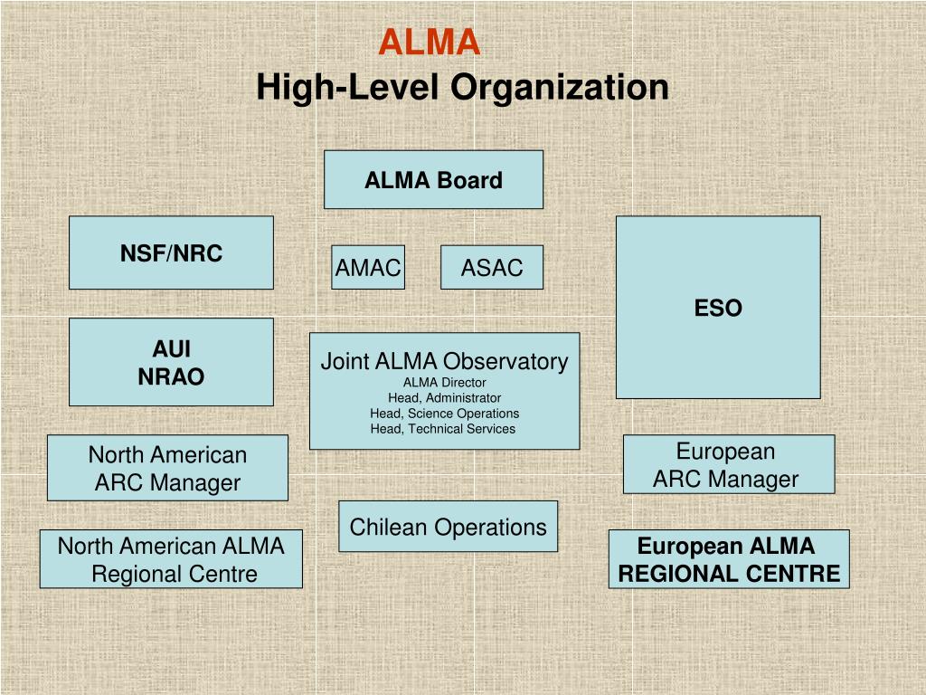 PPT - High-Level Organization PowerPoint Presentation, free download ...