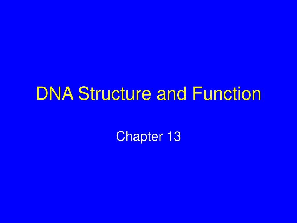 PPT - DNA Structure and Function PowerPoint Presentation, free download ...