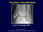 PPT - Equine P3 Fracture Classification PowerPoint Presentation, free ...