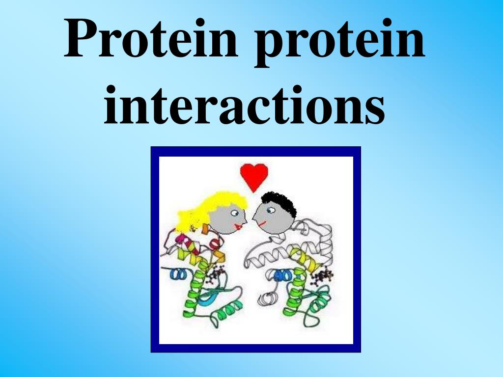 PPT - Protein protein interactions PowerPoint Presentation, free ...
