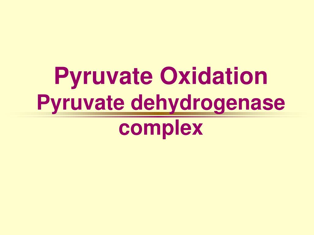 PPT - Pyruvate Oxidation Pyruvate dehydrogenase complex PowerPoint ...