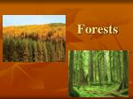 PPT - Importance of forests PowerPoint Presentation, free download - ID ...