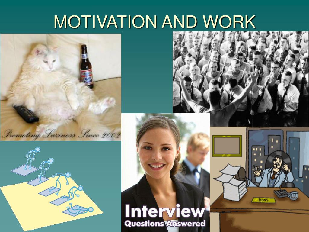 PPT - MOTIVATION AND WORK PowerPoint Presentation, free download - ID ...