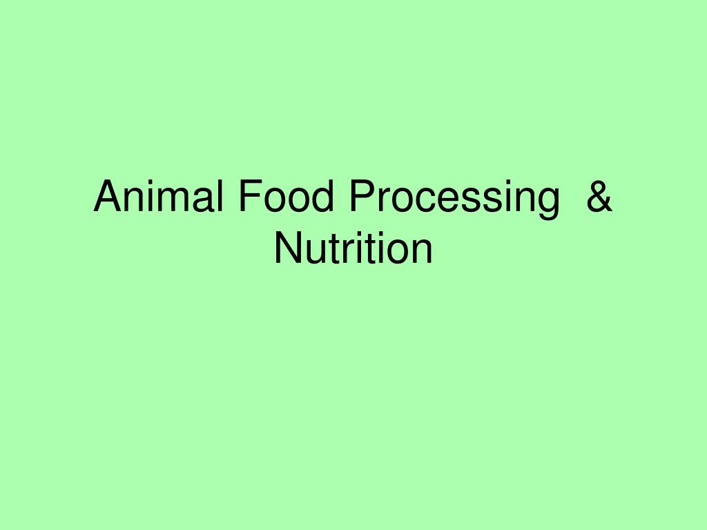 PPT - Animal Food Processing & Nutrition PowerPoint Presentation, free ...