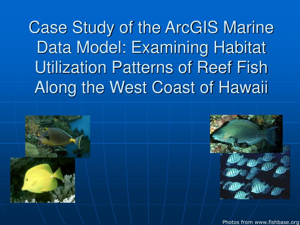 PPT - Photos from fishbase PowerPoint Presentation, free download - ID ...