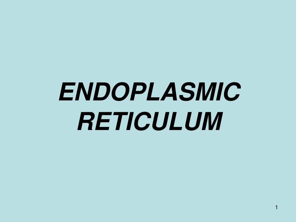 PPT - ENDOPLASMIC RETICULUM PowerPoint Presentation, free download - ID ...