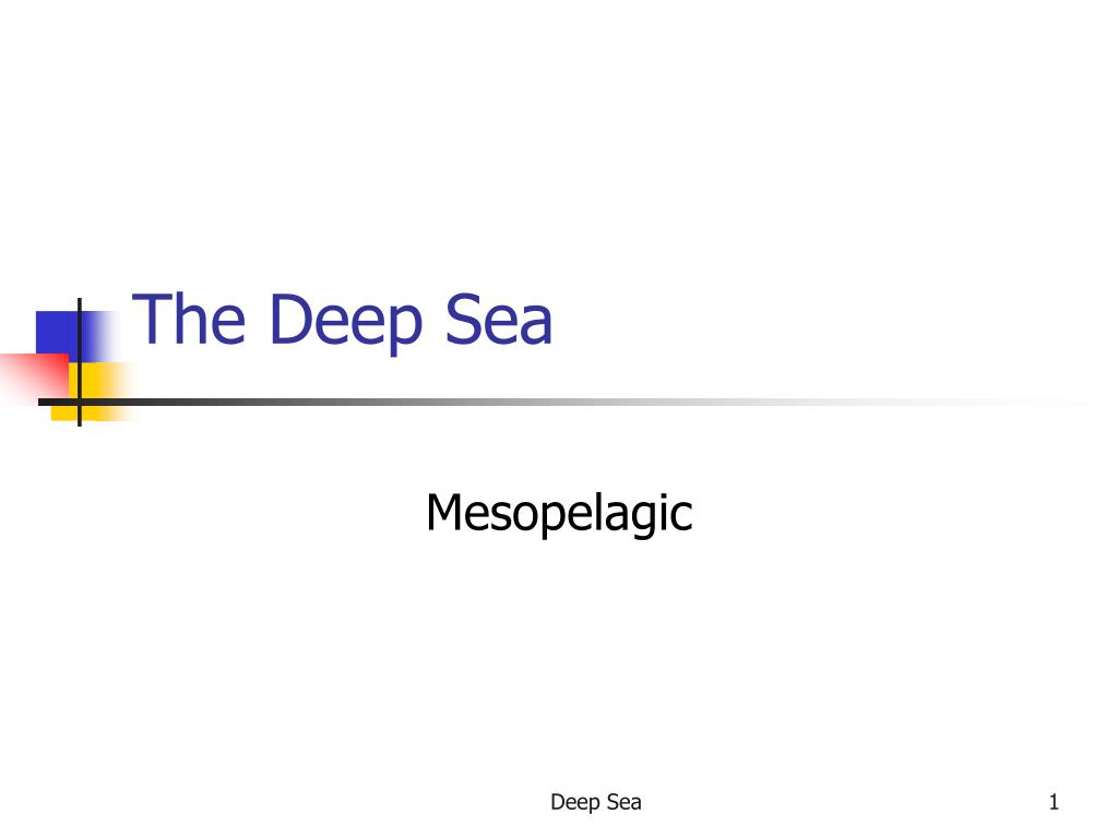 PPT - The Deep Sea PowerPoint Presentation, free download - ID:3364737