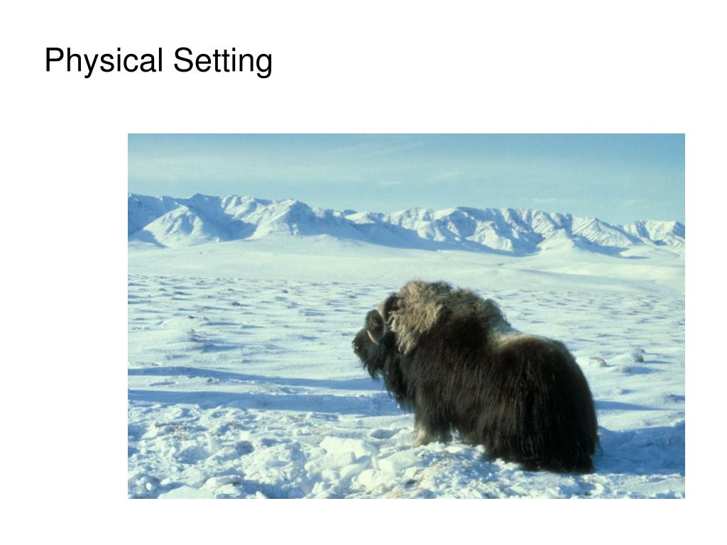 PPT - Physical Setting PowerPoint Presentation, free download - ID:3367804