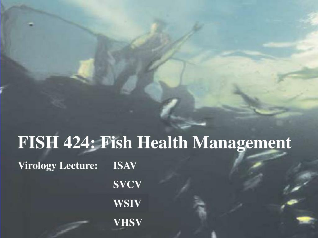 PPT - FISH 424: Fish Health Management Virology Lecture: ISAV SVCV WSIV ...