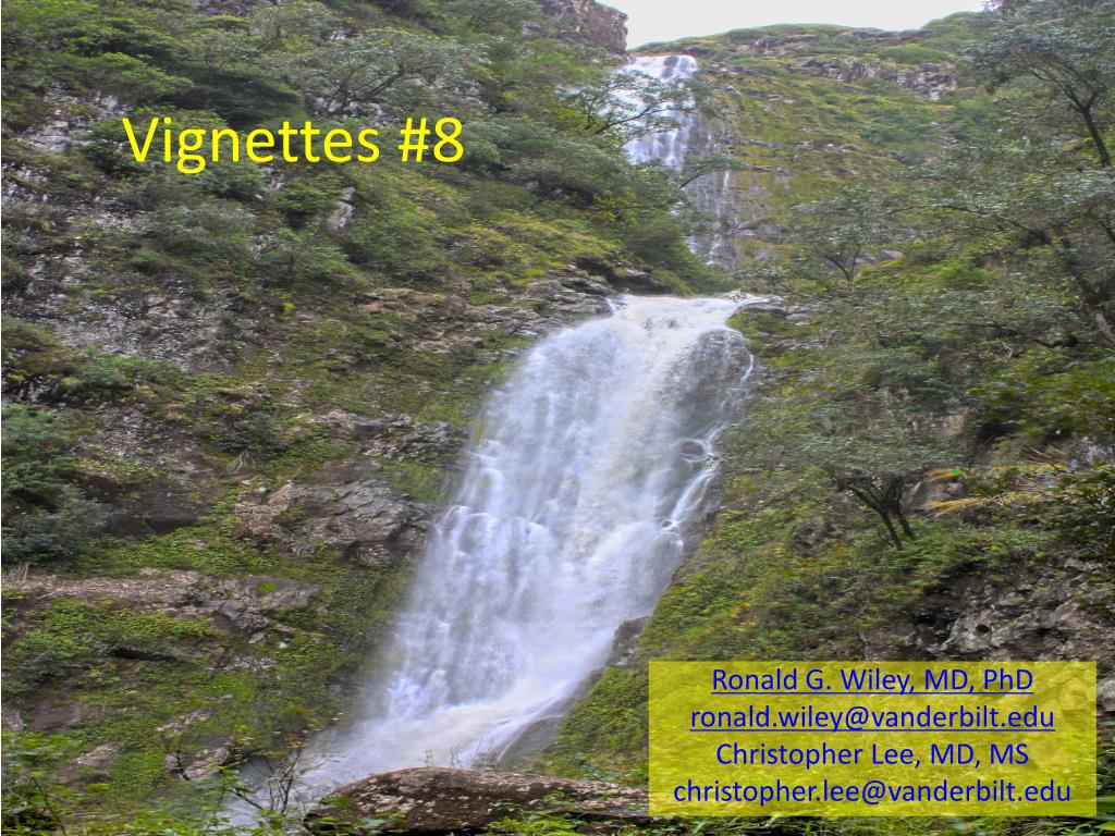 PPT - Vignettes #8 PowerPoint Presentation, free download - ID:3378180