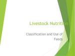 PPT - Basic Nutrition for Livestock PowerPoint Presentation, free ...