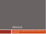 PPT - DENGUE PowerPoint Presentation, free download - ID:5291344