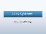 PPT - Interaction of Body Systems PowerPoint Presentation, free ...