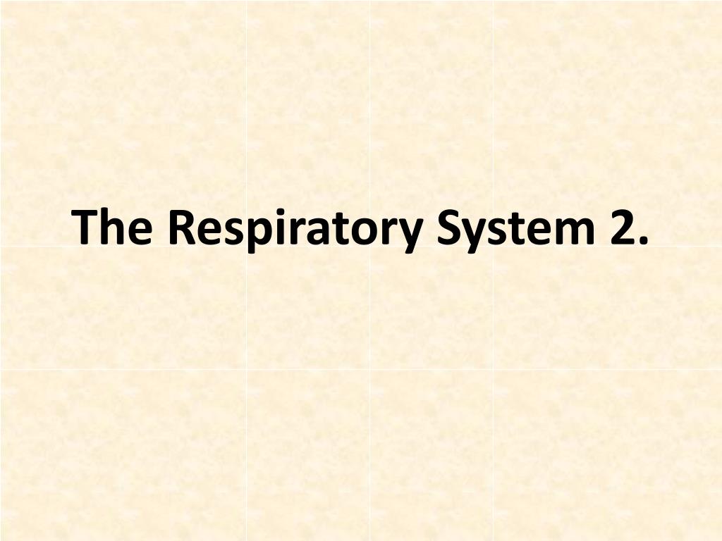 PPT - The Respiratory System 2. PowerPoint Presentation, free download ...