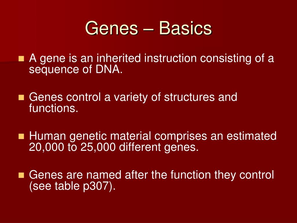 PPT - Genes – Basics PowerPoint Presentation, free download - ID:3392071