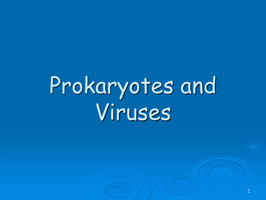 PPT - Prokaryotes and Viruses PowerPoint Presentation, free download ...