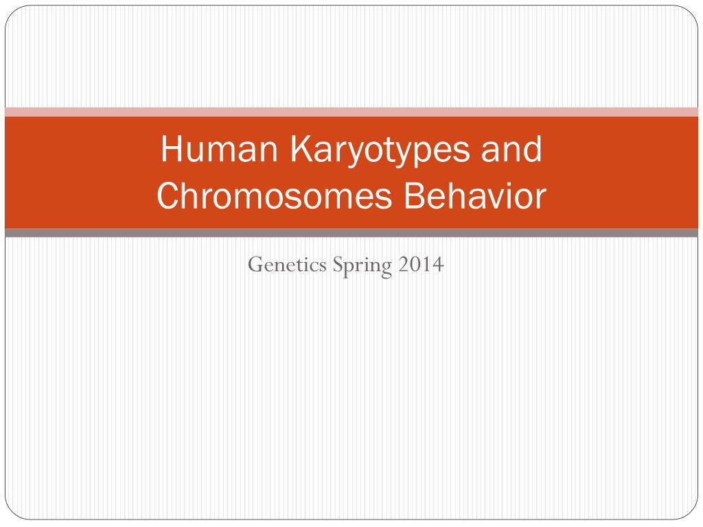 PPT - Human Karyotypes and Chromosomes Behavior PowerPoint Presentation ...