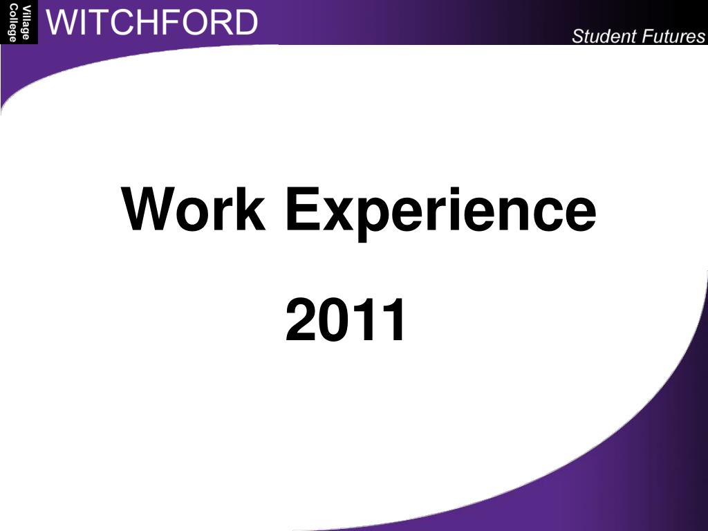PPT - Work Experience PowerPoint Presentation, free download - ID:3395636