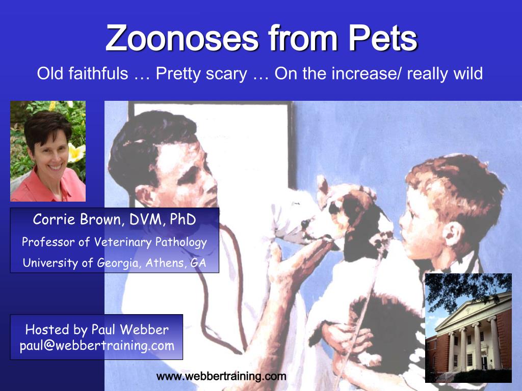 PPT - Zoonoses from Pets PowerPoint Presentation, free download - ID ...