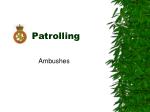 PPT - PATROLLING PowerPoint Presentation, free download - ID:5399261