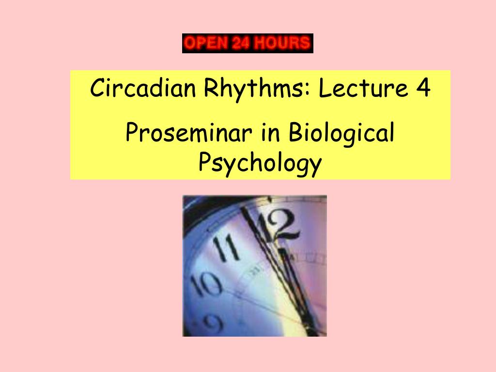 PPT - Circadian Rhythms: Lecture 4 Proseminar in Biological Psychology ...