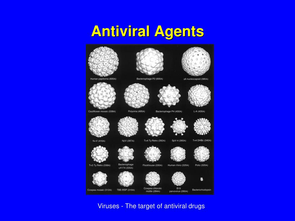 PPT - Antiviral Agents PowerPoint Presentation, free download - ID:3409190