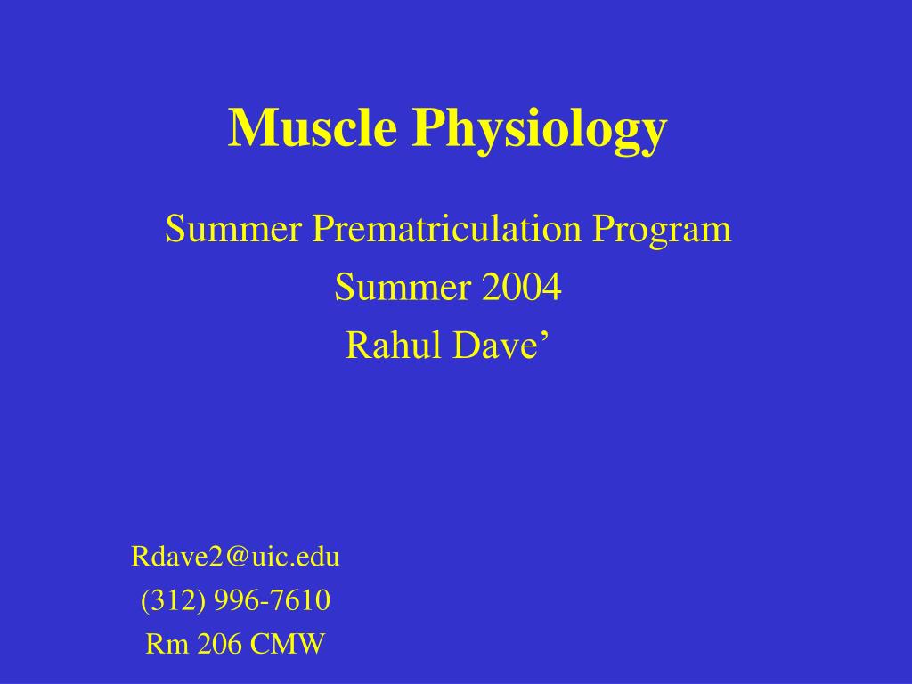 PPT - Muscle Physiology PowerPoint Presentation, free download - ID:3409248