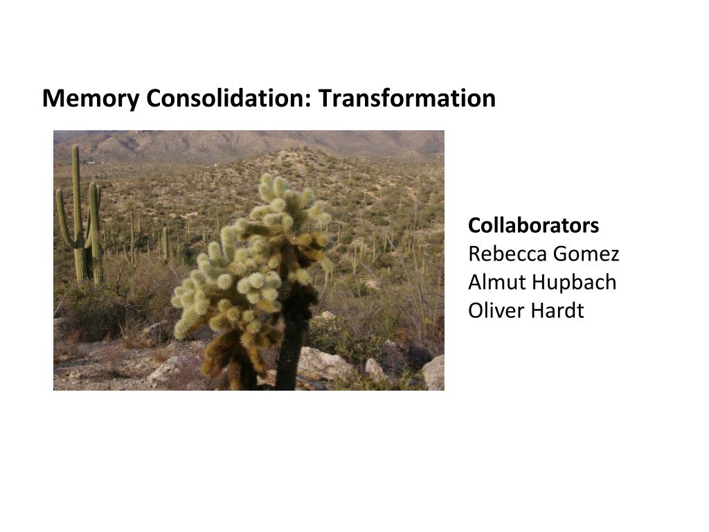 PPT - Memory Consolidation: Transformation PowerPoint Presentation ...