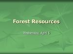 PPT - FOREST RESOURCES PowerPoint Presentation, free download - ID:2952993