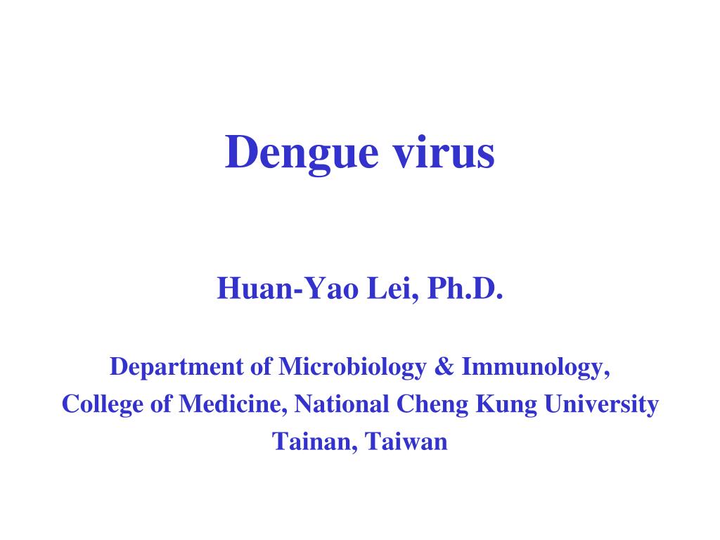 PPT - Dengue virus PowerPoint Presentation, free download - ID:3414037