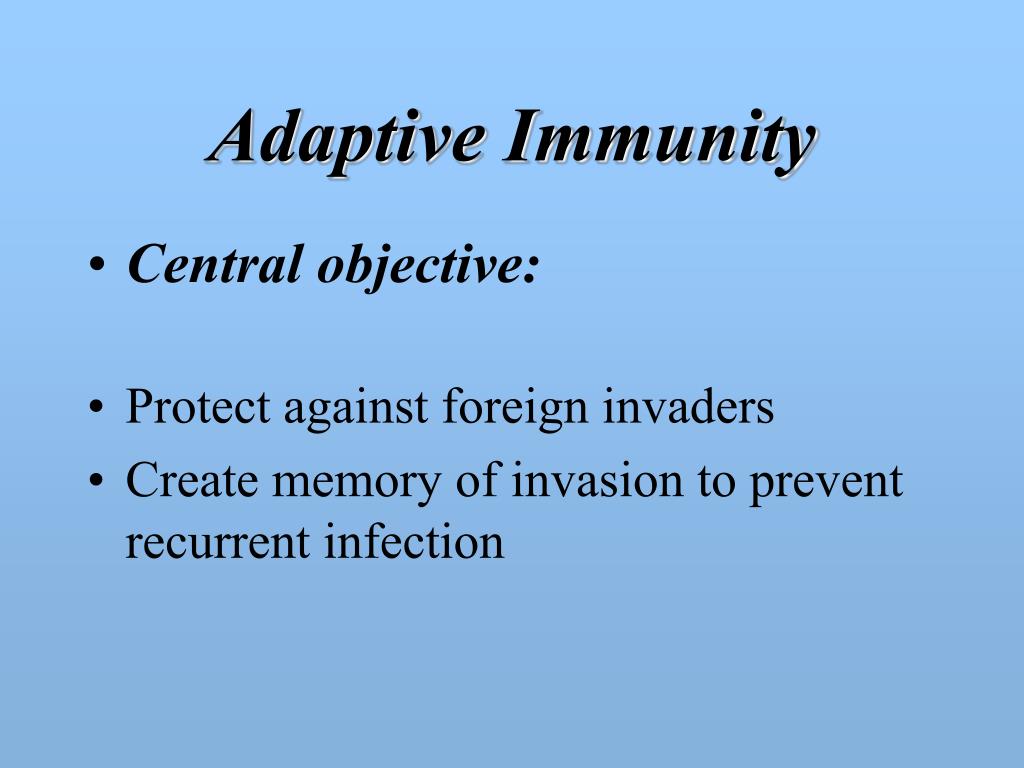 PPT - Adaptive Immunity PowerPoint Presentation, free download - ID:3422068