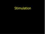 PPT - Thematic Language Stimulation Therapy PowerPoint Presentation ...