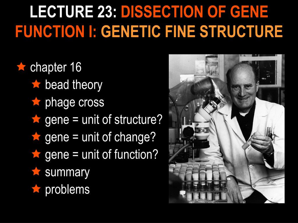 PPT - LECTURE 23: DISSECTION OF GENE FUNCTION I: GENETIC FINE STRUCTURE ...