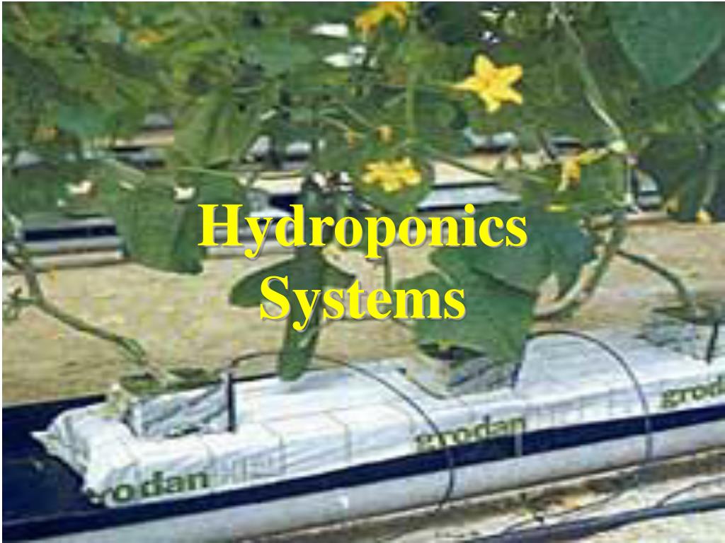 PPT - Hydroponics Systems PowerPoint Presentation, free download - ID ...