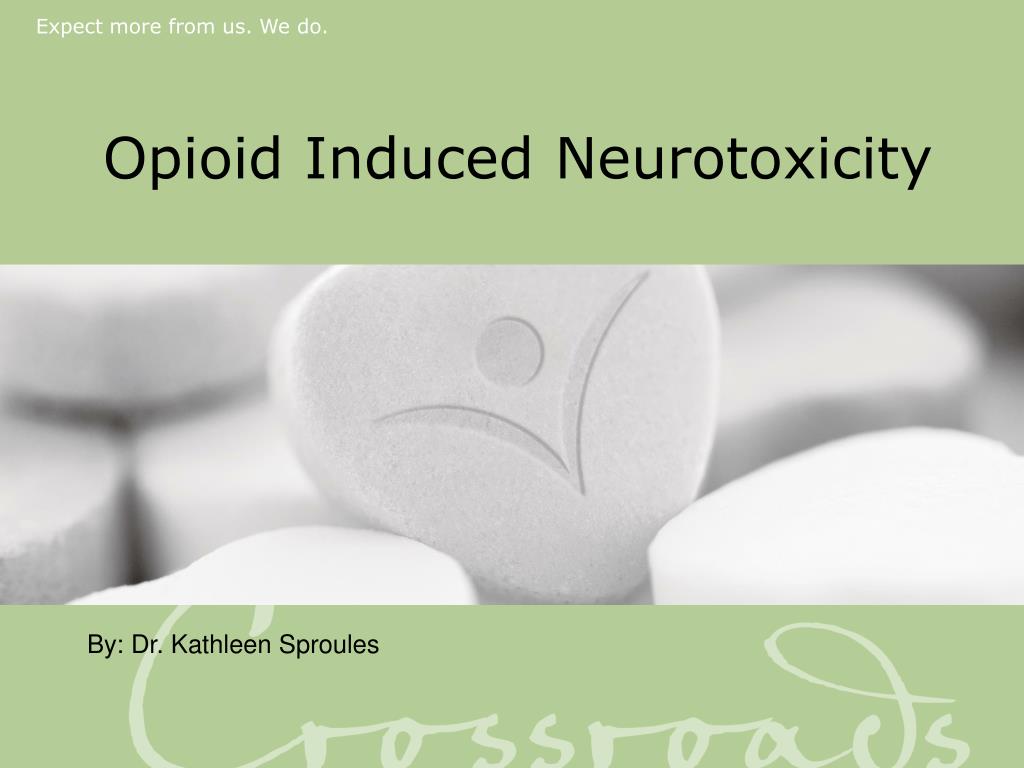 PPT - Opioid Induced Neurotoxicity PowerPoint Presentation, free ...