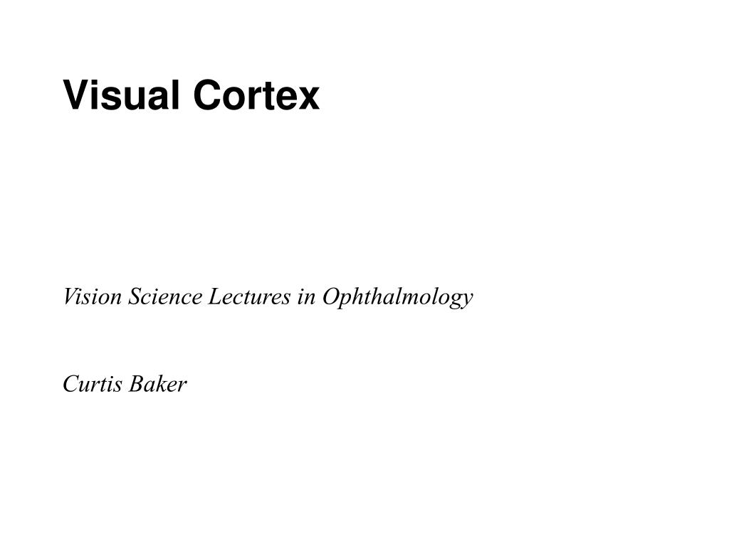 PPT - Visual Cortex PowerPoint Presentation, free download - ID:3425503