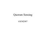 PPT - Quorum Sensing PowerPoint Presentation, free download - ID:1895221
