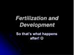 PPT - Fertilization and implantation PowerPoint Presentation, free ...
