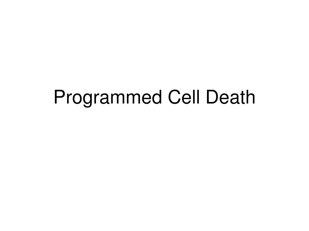 PPT - Programmed Cell Death PowerPoint Presentation, free download - ID ...