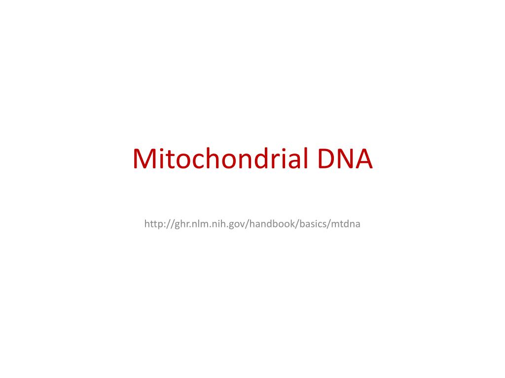 PPT - Mitochondrial DNA PowerPoint Presentation, free download - ID:3435119