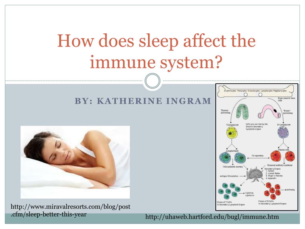 PPT - How does sleep affect the immune system? PowerPoint Presentation ...