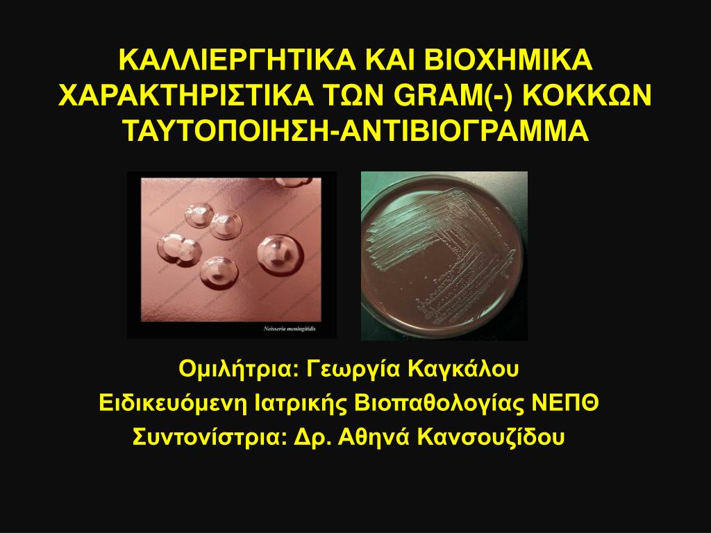 PPT - ΚΑΛΛΙΕΡΓΗΤΙΚΑ ΚΑΙ ΒΙΟΧΗΜΙΚΑ ΧΑΡΑΚΤΗΡΙΣΤΙΚΑ ΤΩΝ GRAM(-) ΚΟΚΚΩΝ ...