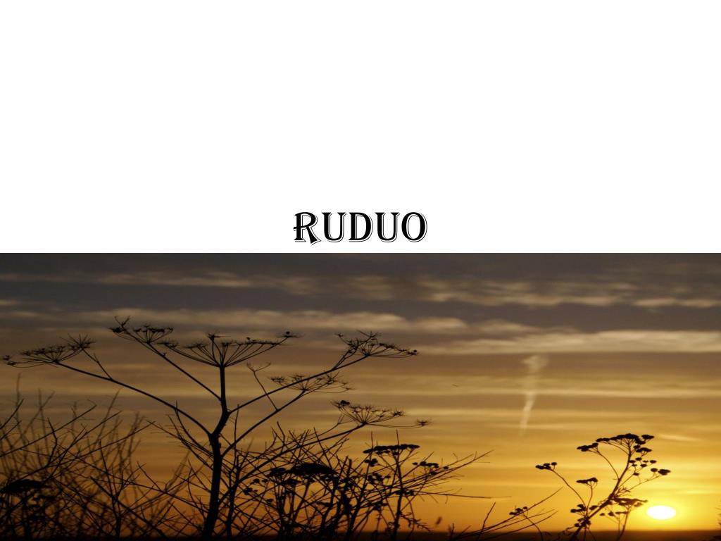 PPT - Ruduo PowerPoint Presentation, free download - ID:3451784