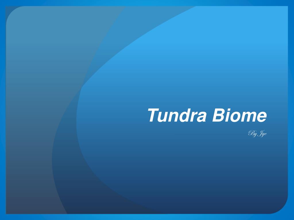 PPT - Tundra Biome PowerPoint Presentation, free download - ID:3462576